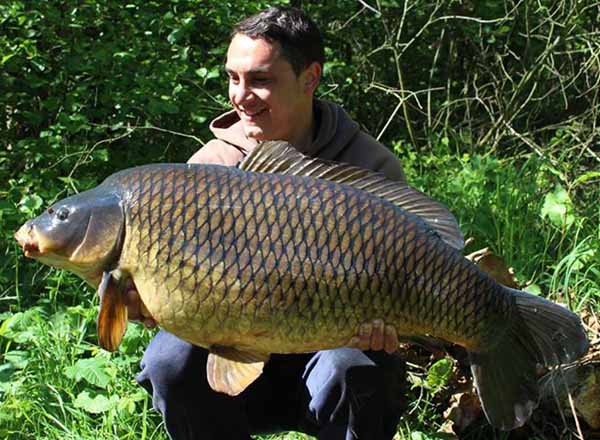 Kingsmead B5 Blitz! – Essential Baits