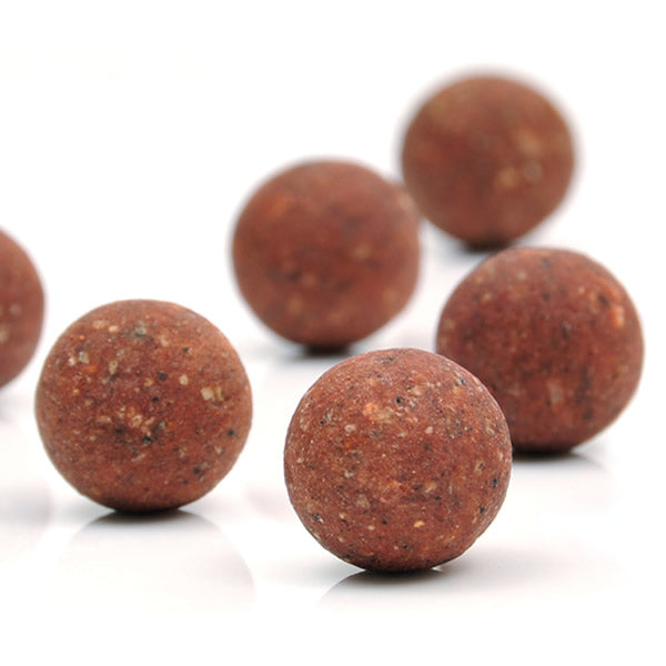 Hard Hookbait Packs | Essential Baits