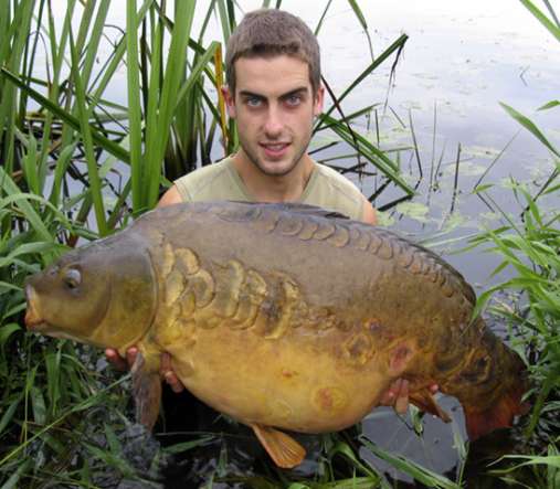 Target Fish Nailed! – Essential Baits